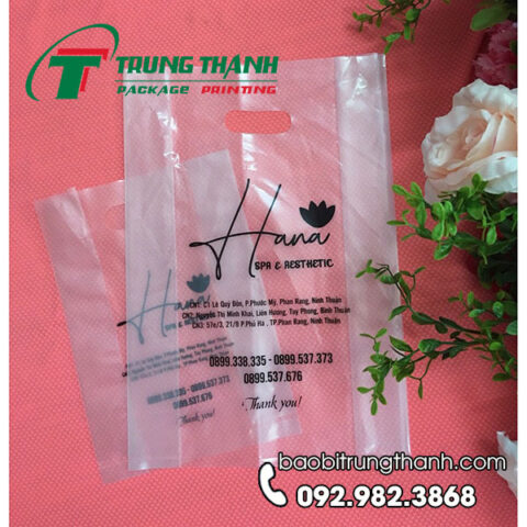 Túi Nilon Trong Suốt Đẹp - Đủ Size TP.HCM, Hà Nội