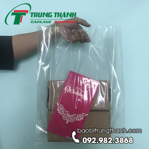 Túi Nilon Trong Suốt Đẹp - Đủ Size TP.HCM, Hà Nội