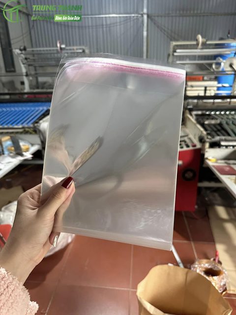 Túi Nilon Trong Suốt Đẹp - Đủ Size TP.HCM, Hà Nội